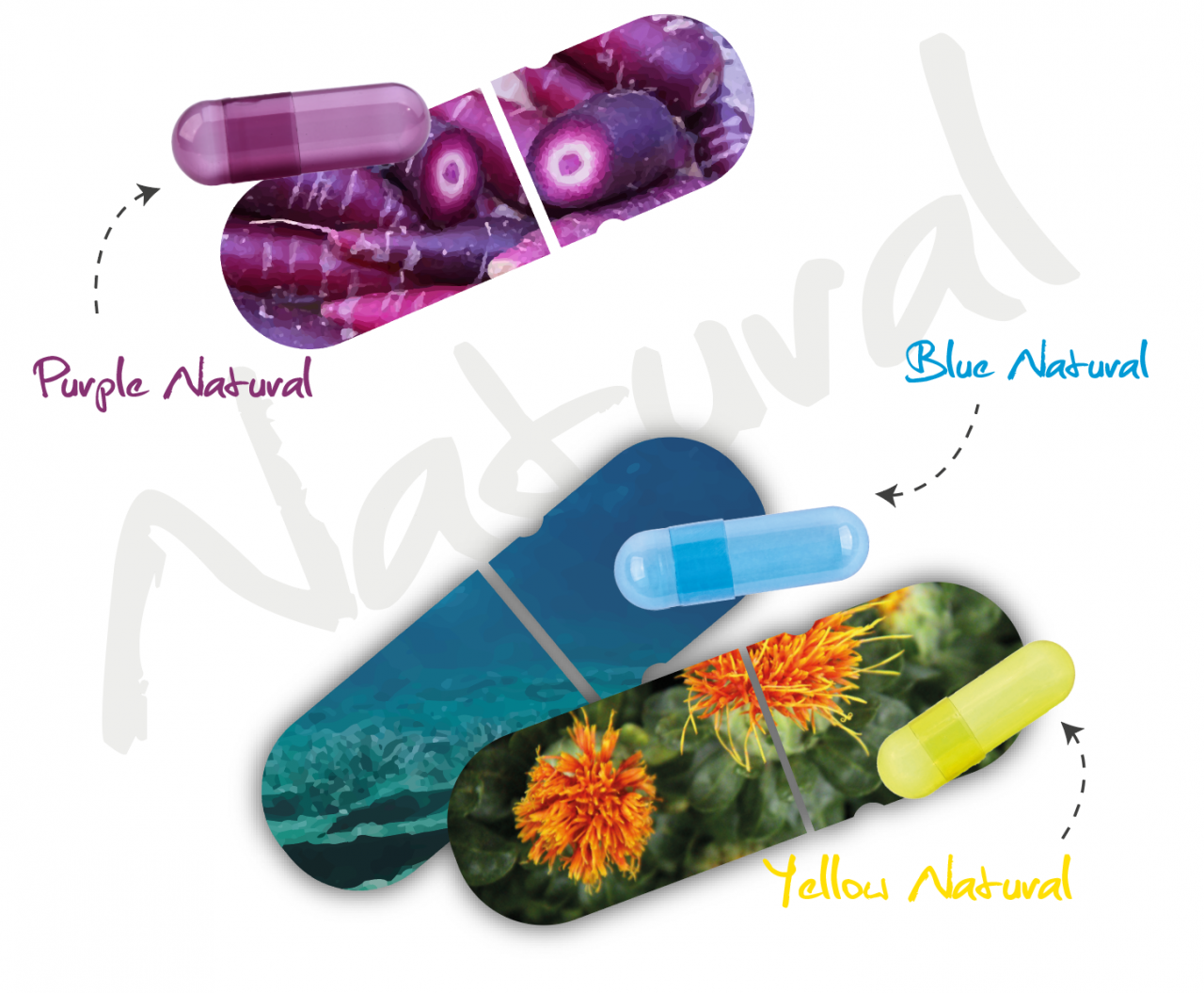 Empty hard capsules - your specialist | GoCaps GmbH